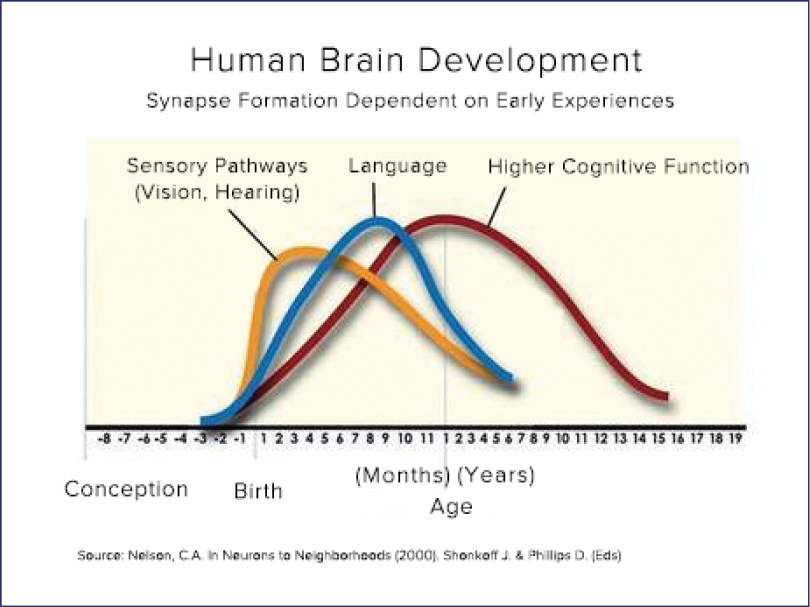 New Brain Research - Center for High Impact Philanthropy - University ...