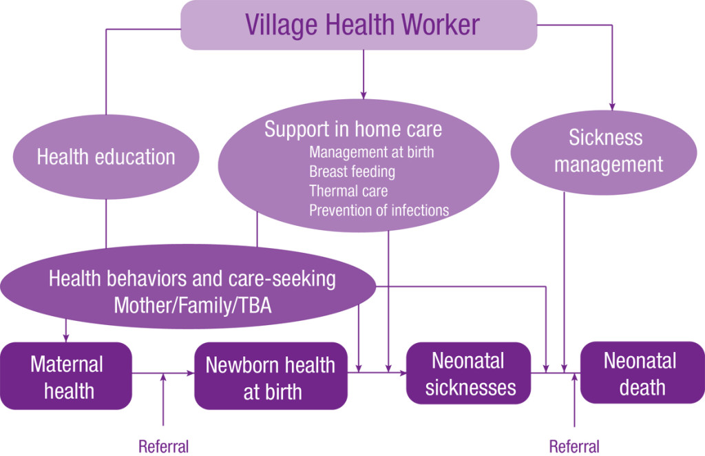 Save Newborn Lives with Home-Based Care Packages - Center for High ...