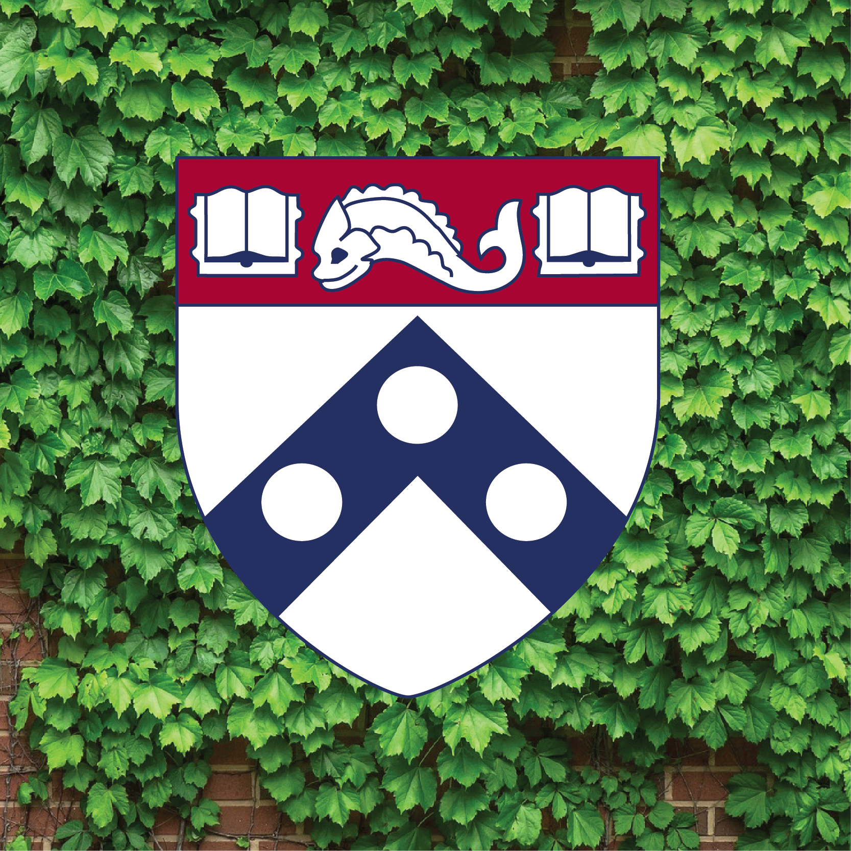 Advising for Impact Certificate Program - Center for High Impact ...